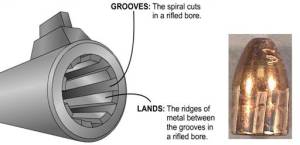 Editor’s Corner: Lands and Grooves | Editor's Corner